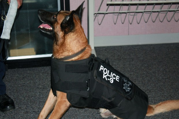 OPD K-9 unit receives four bulletproof vests | Oakland North