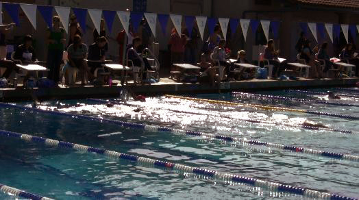 The Mermaids take the waters at annual cancer swim - Oakland North