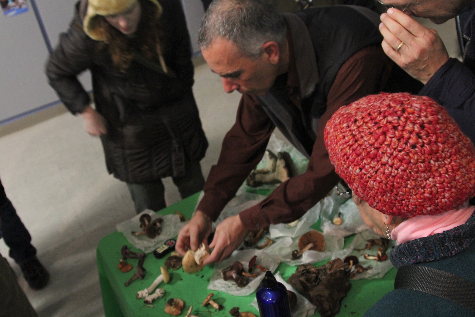 Mushroom lovers enjoy East Bay’s fungal offerings - Oakland North