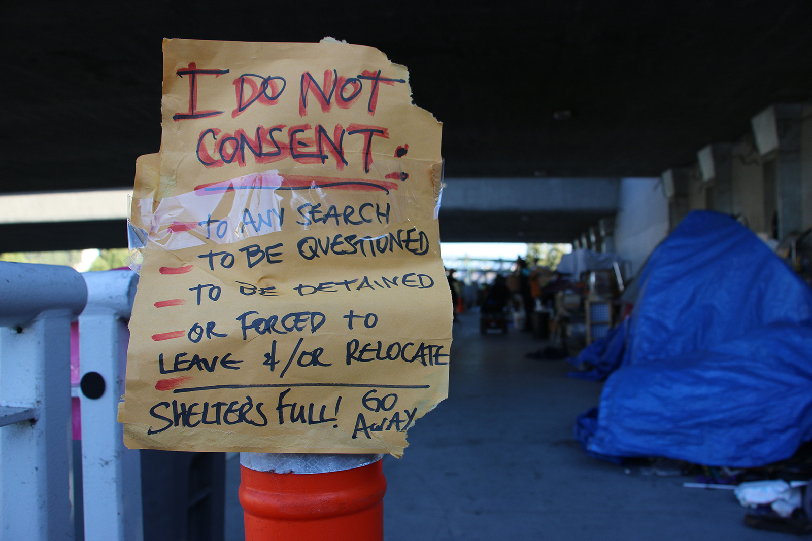Homeless encampment eviction at Lake Merritt thwarted by protesters ...