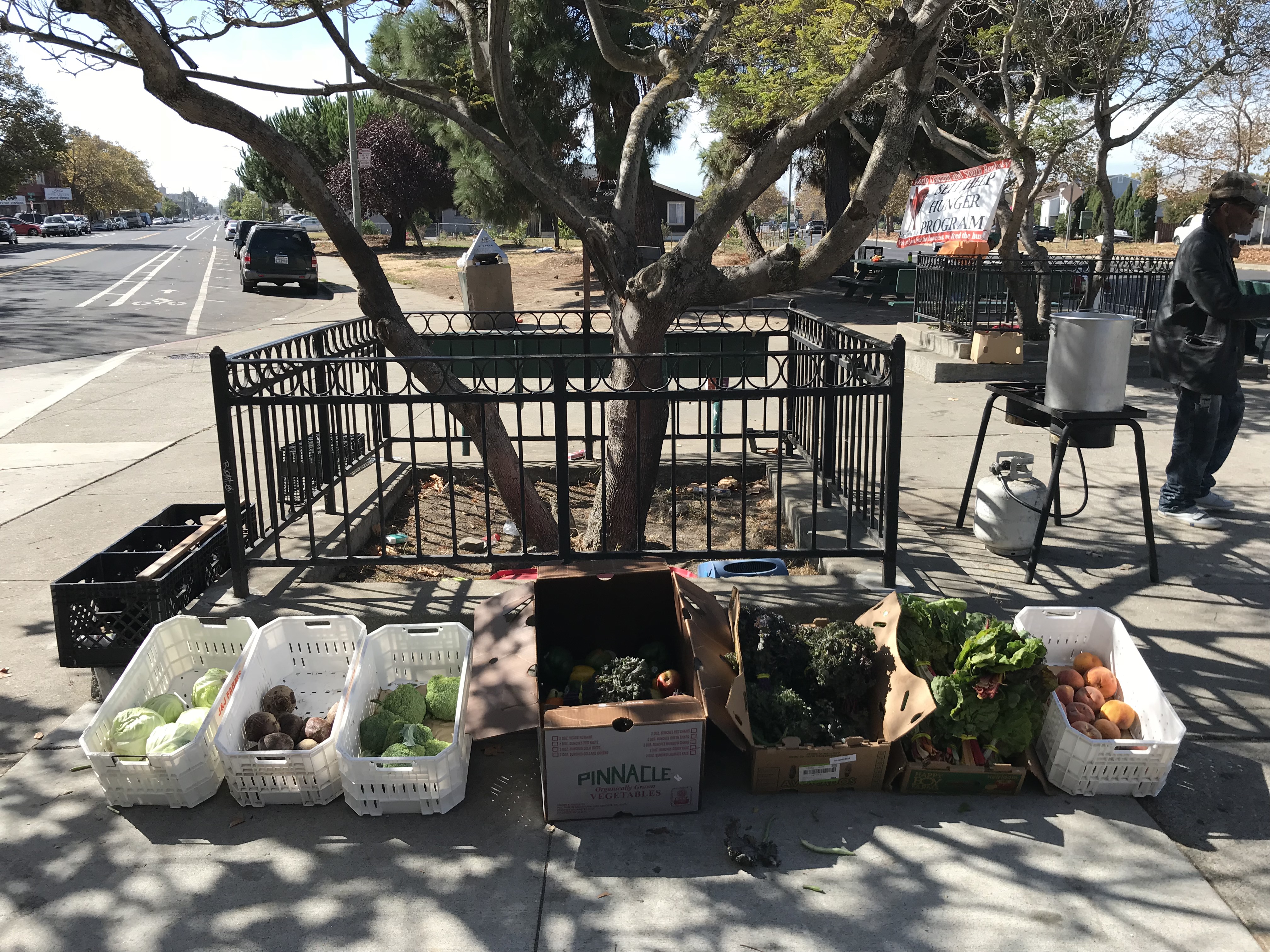 Fresh and free produce, no strings attached - Oakland North