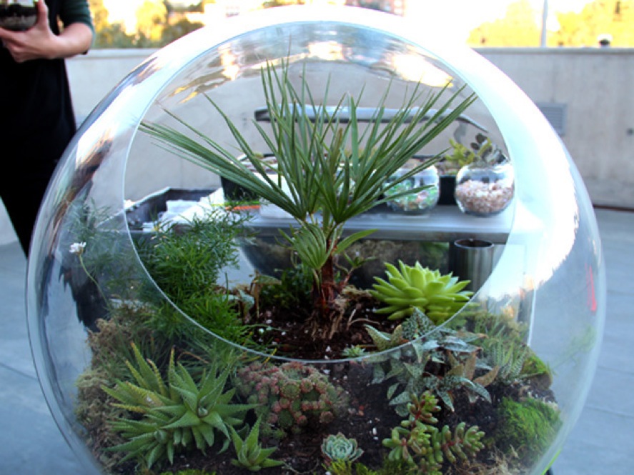 Floating terrarium artists invite hands-on help outside Oakland's ...