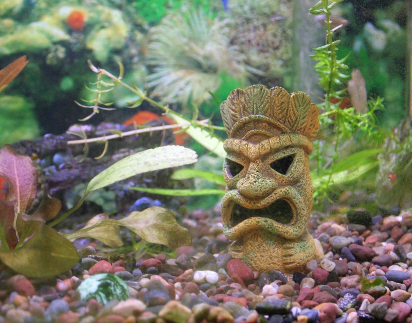 After the fire, Oakland's love of tiki burns on - Oakland North