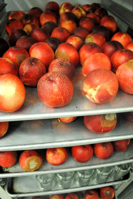 Making marmalade with Blue Chair Fruit Company - Oakland North