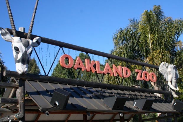 Meet the animals at the Oakland Zoo - Oakland North