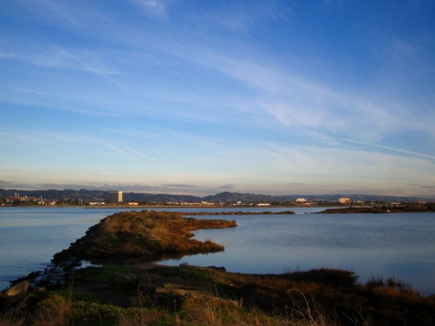 10 great walks in Oakland - Oakland North